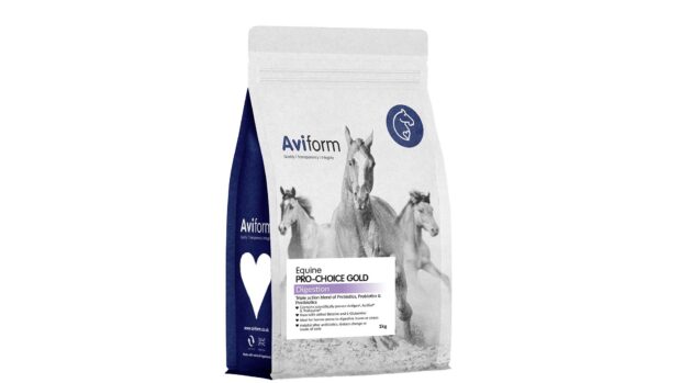 Best gut balancers for horses : what’s on the market? | Horse & Hound