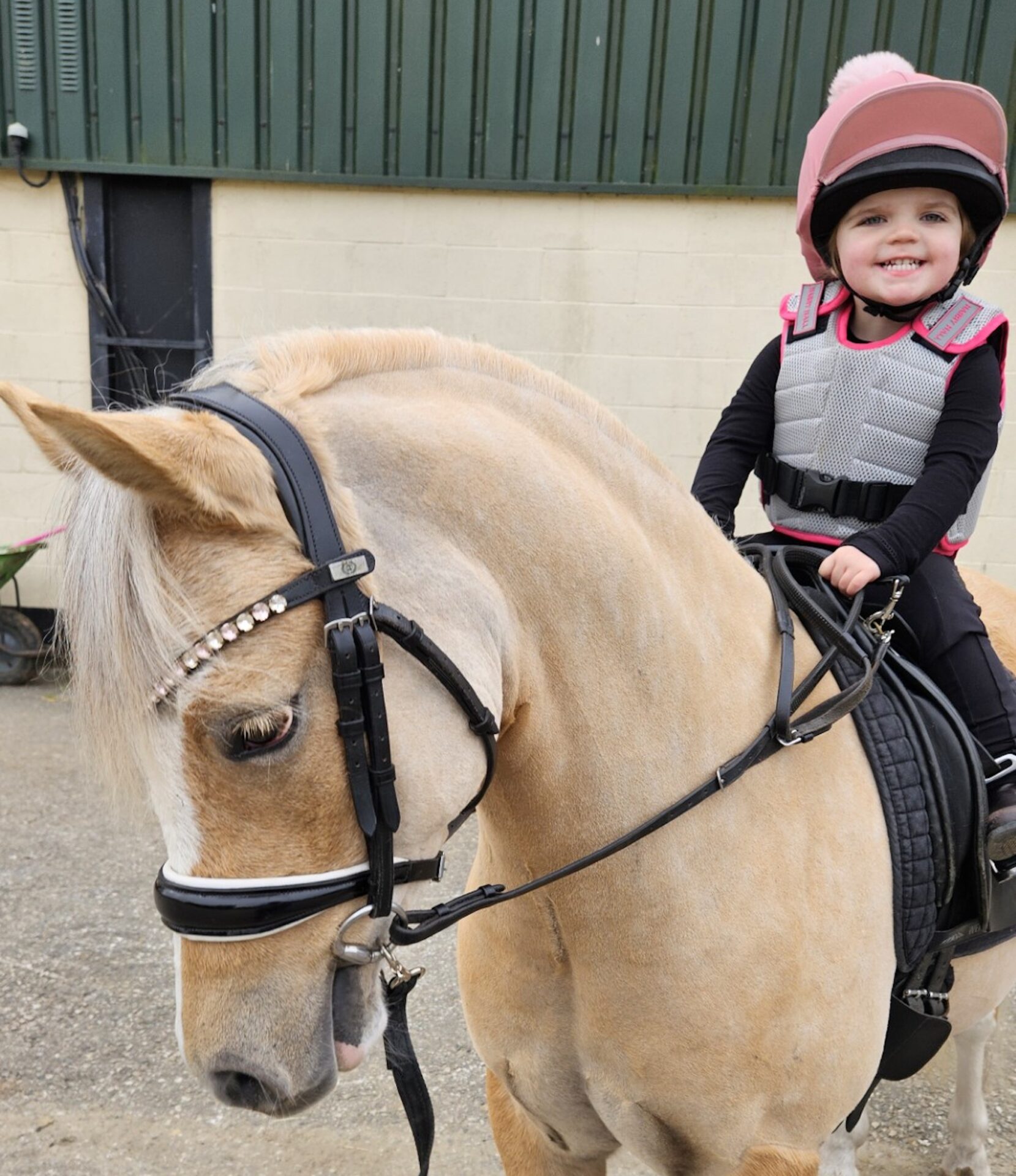 ‘You’ve got to be brave’: tiny rider asks pony to be courageous as yard ...