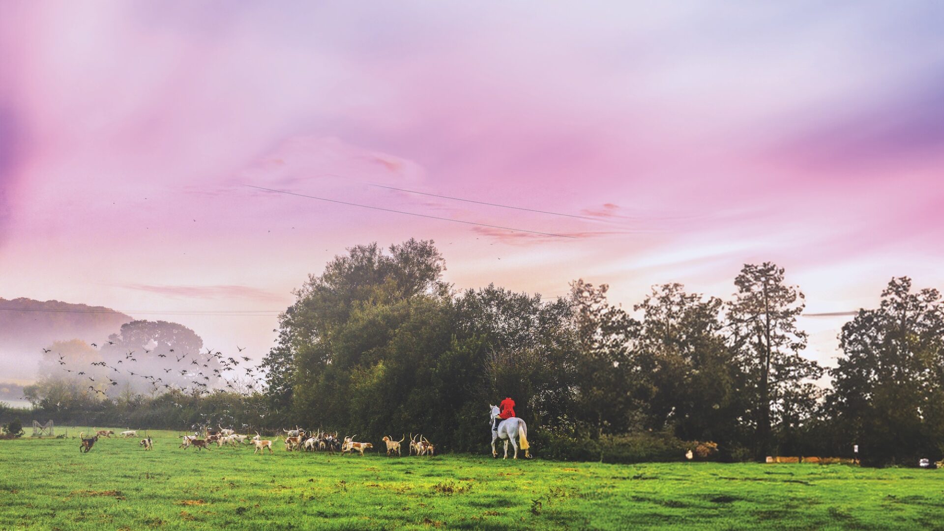 Government ‘fires the starting gun’ on plans to ban trail-hunting ...