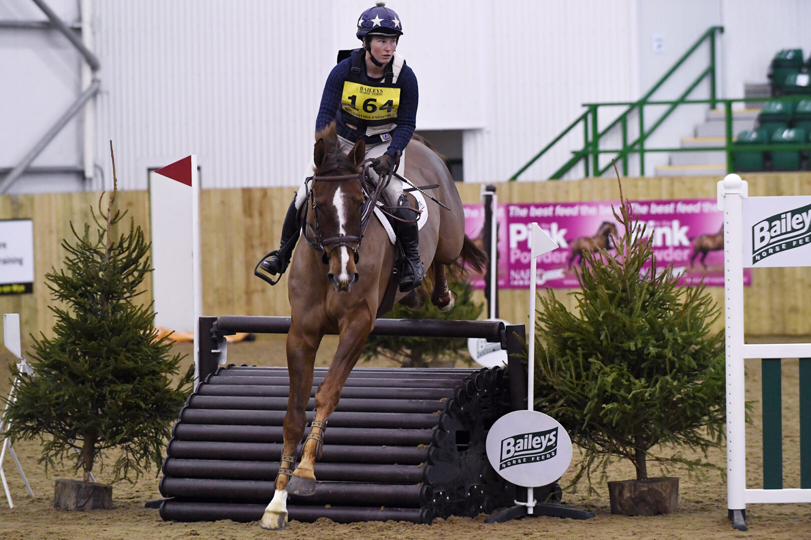 Arena eventing tips for training at home and what to do on the day