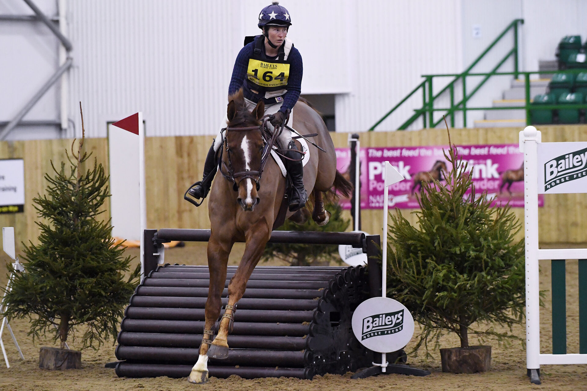 Arena eventing tips for training at home and what to do on the day