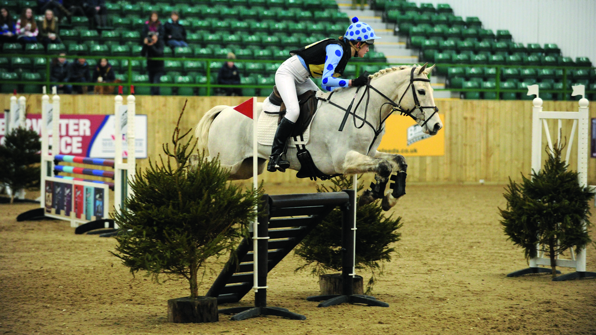 Arena eventing tips for training at home and what to do on the day