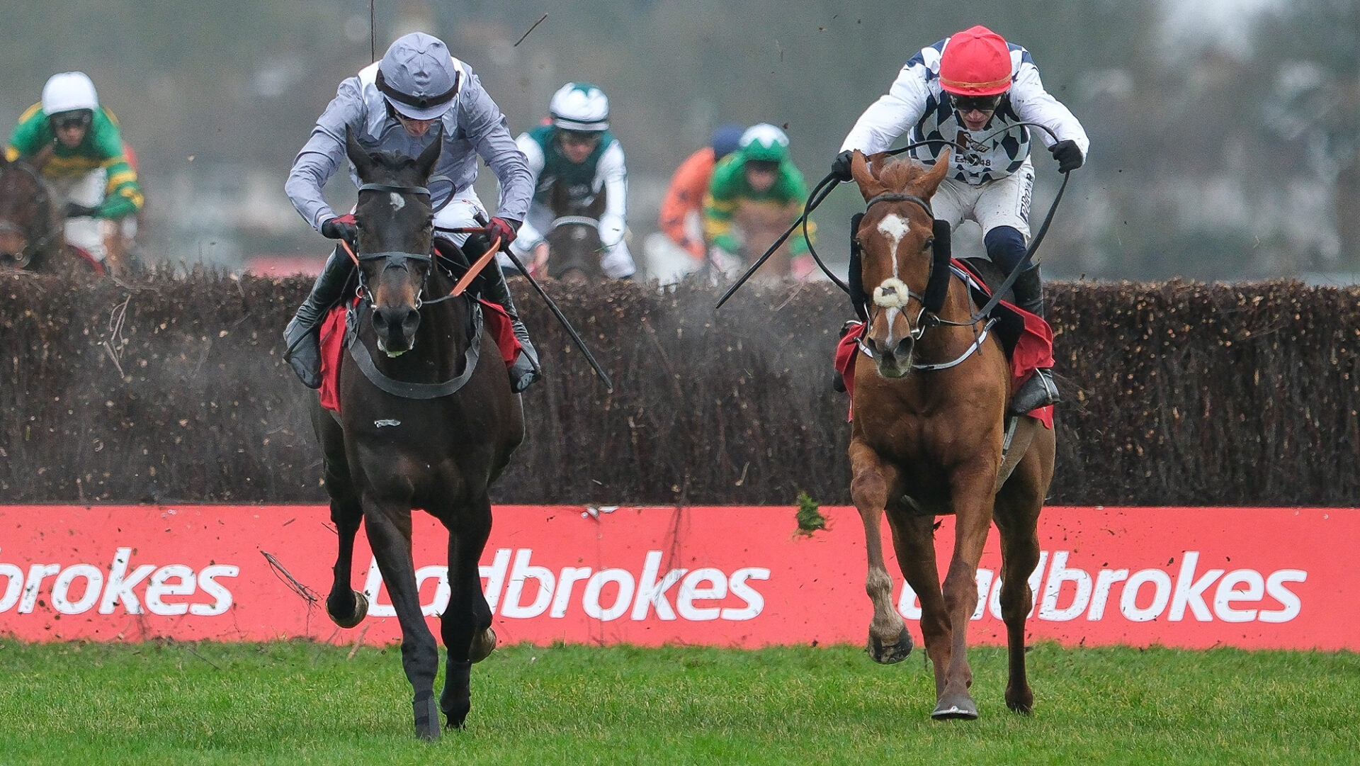 How to watch the King George VI Chase on TV live from wherever you are