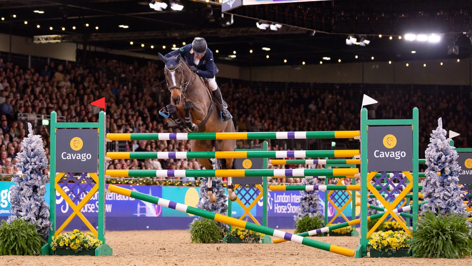 Showjumping: Horse & Hound's home for showjumping fans