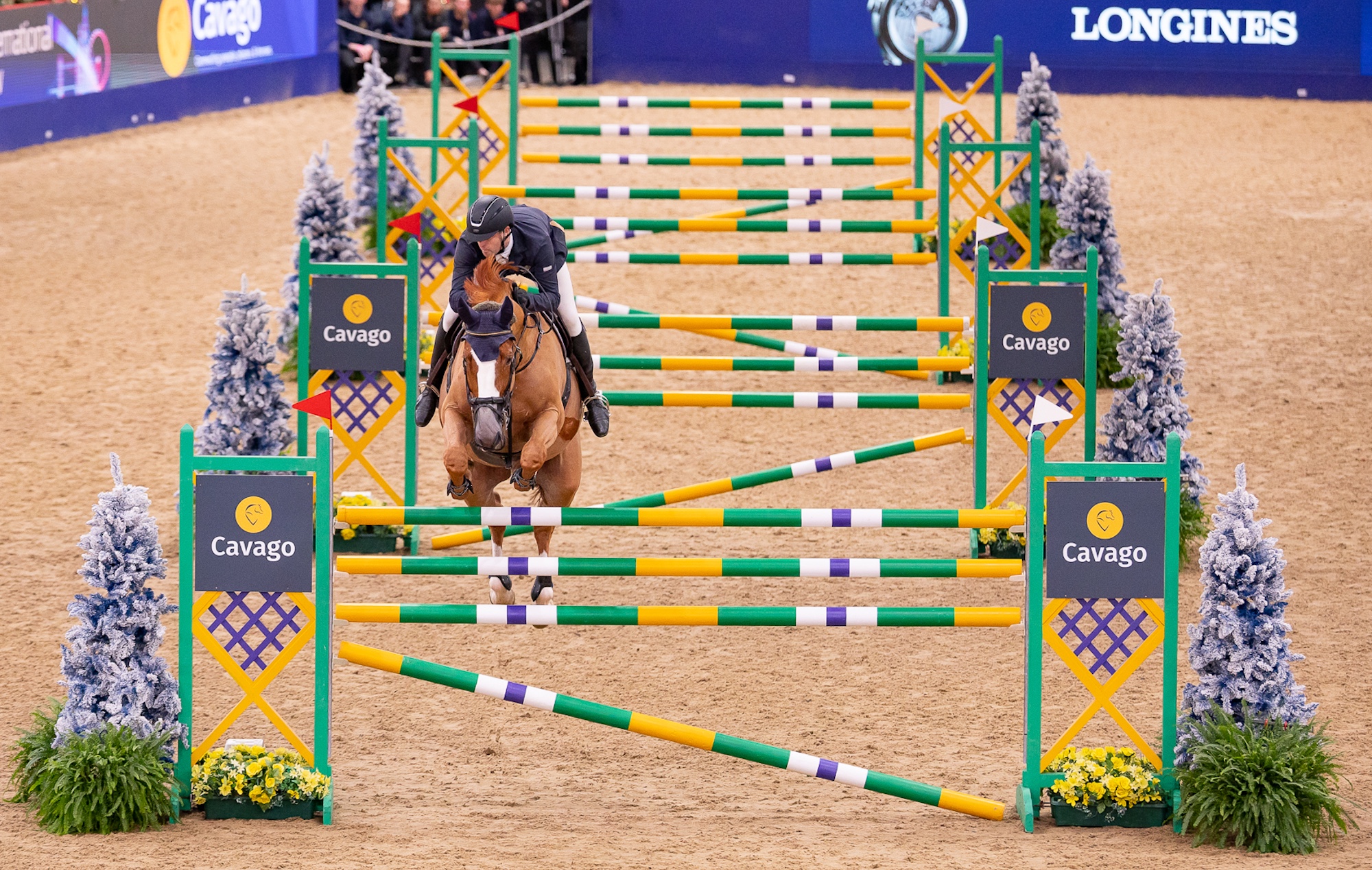 Meet the 18.2hh six-bar superstar who’s like an ‘overgrown labrador ...