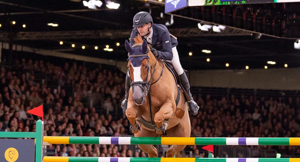 Meet the 18.2hh six-bar superstar who’s like an ‘overgrown labrador ...