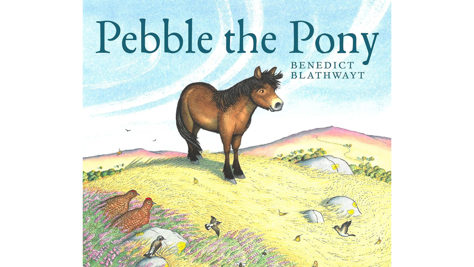Best horse books for children – stories and fact books | Horse & Hound