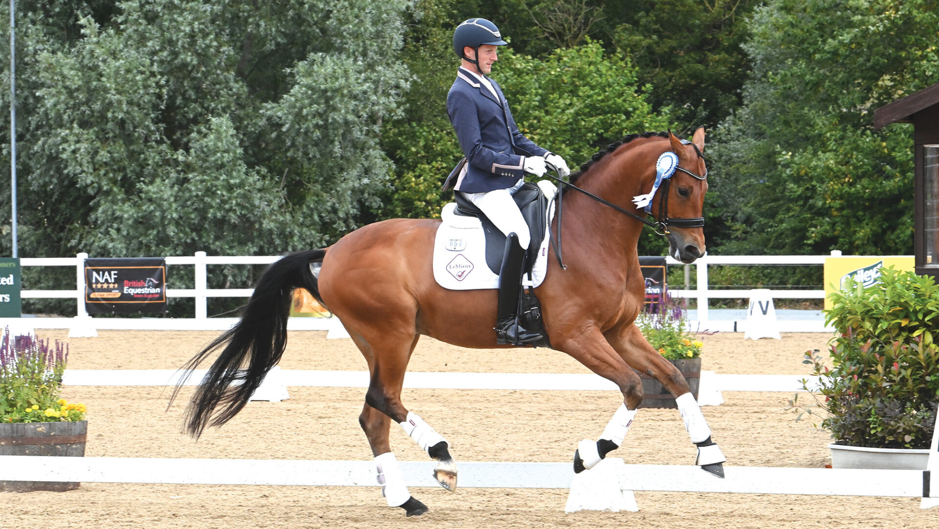 Why Rob Barker is a dressage rider to look out for in 2026