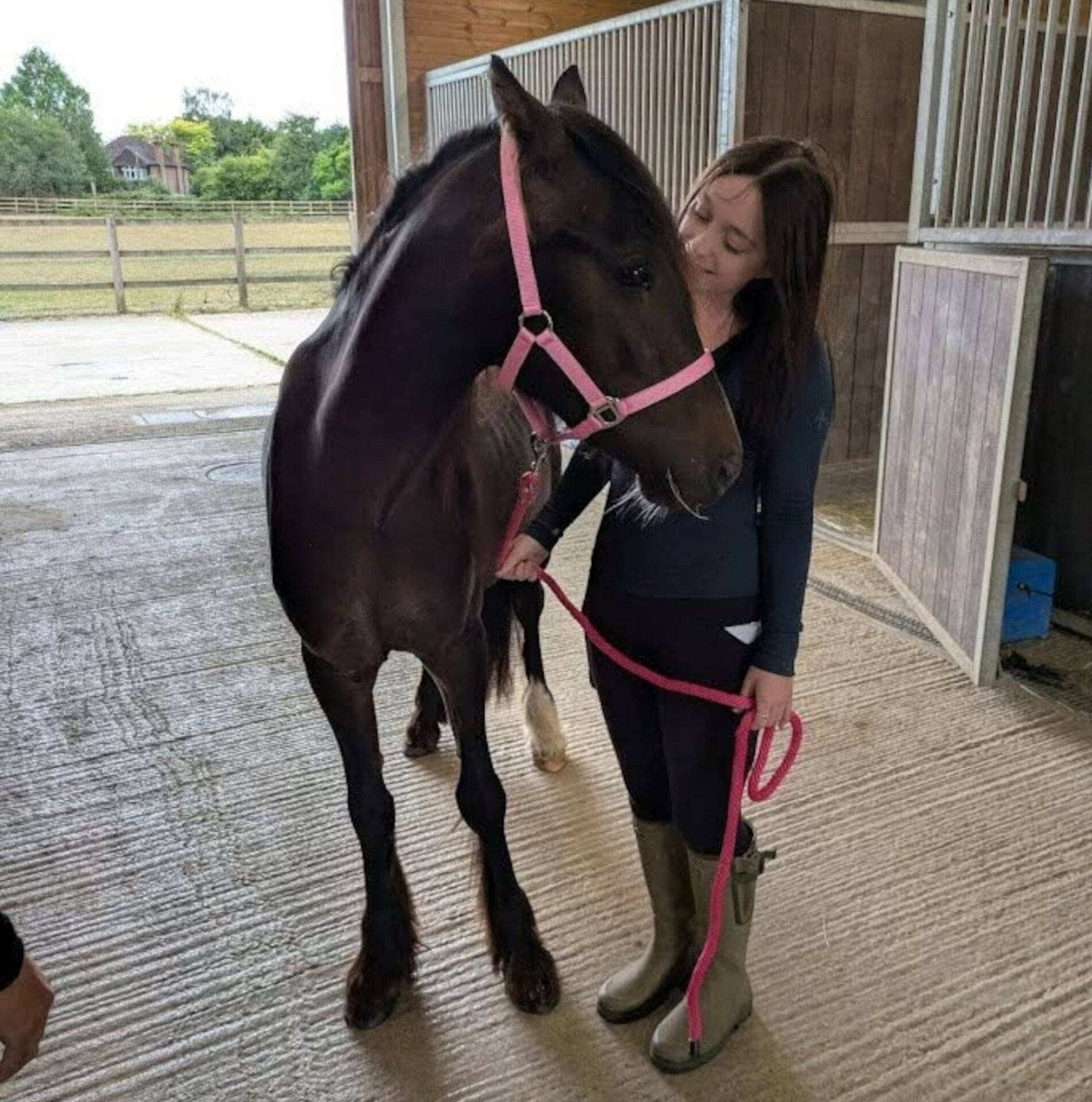 Pony dumped in London ‘on the brink of death’ spends first Christmas in ...