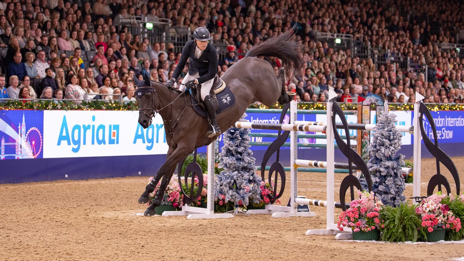 London Horse Show grand prix goes to Irishman with John Whitaker fourth