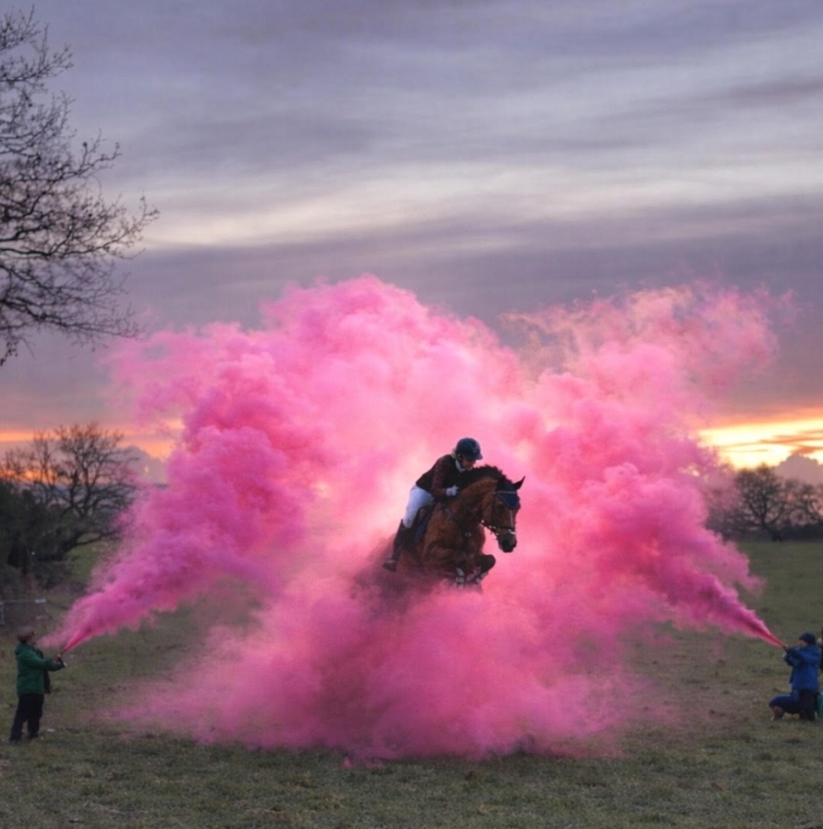 Horse and rider’s epic gender reveal caught on camera