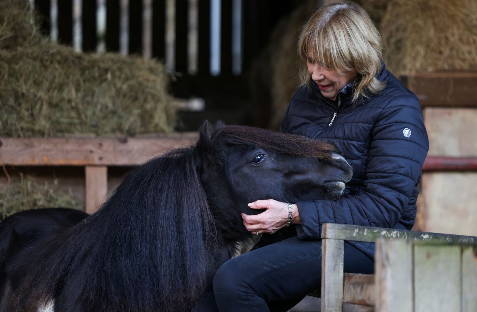 Pregnant mare survives life-threatening sepsis and keeps foal