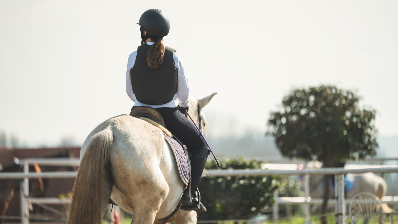 New guide on ethical whip use for horse riders published