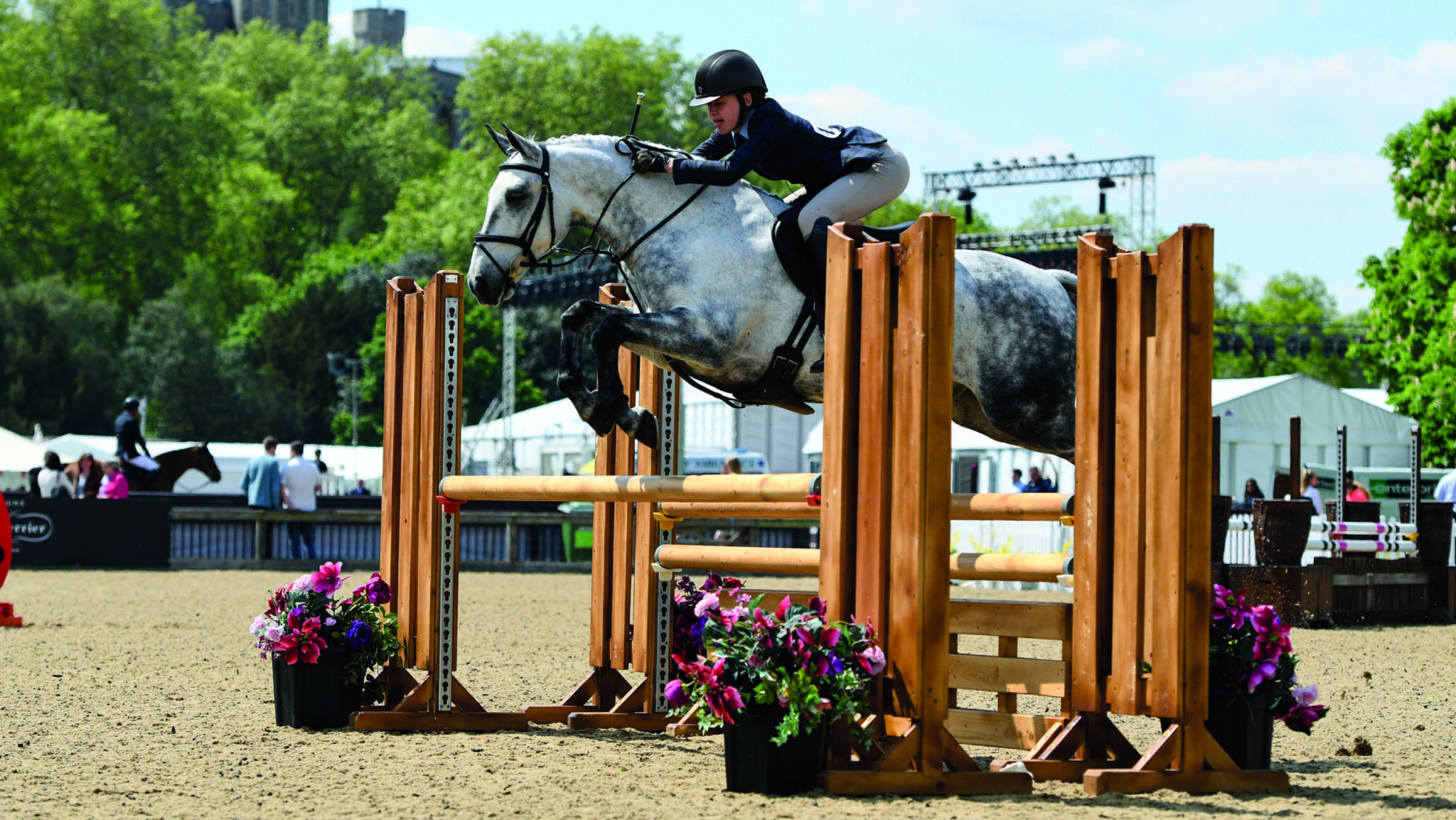 Competitor’s guide and introduction to working hunter pony classes