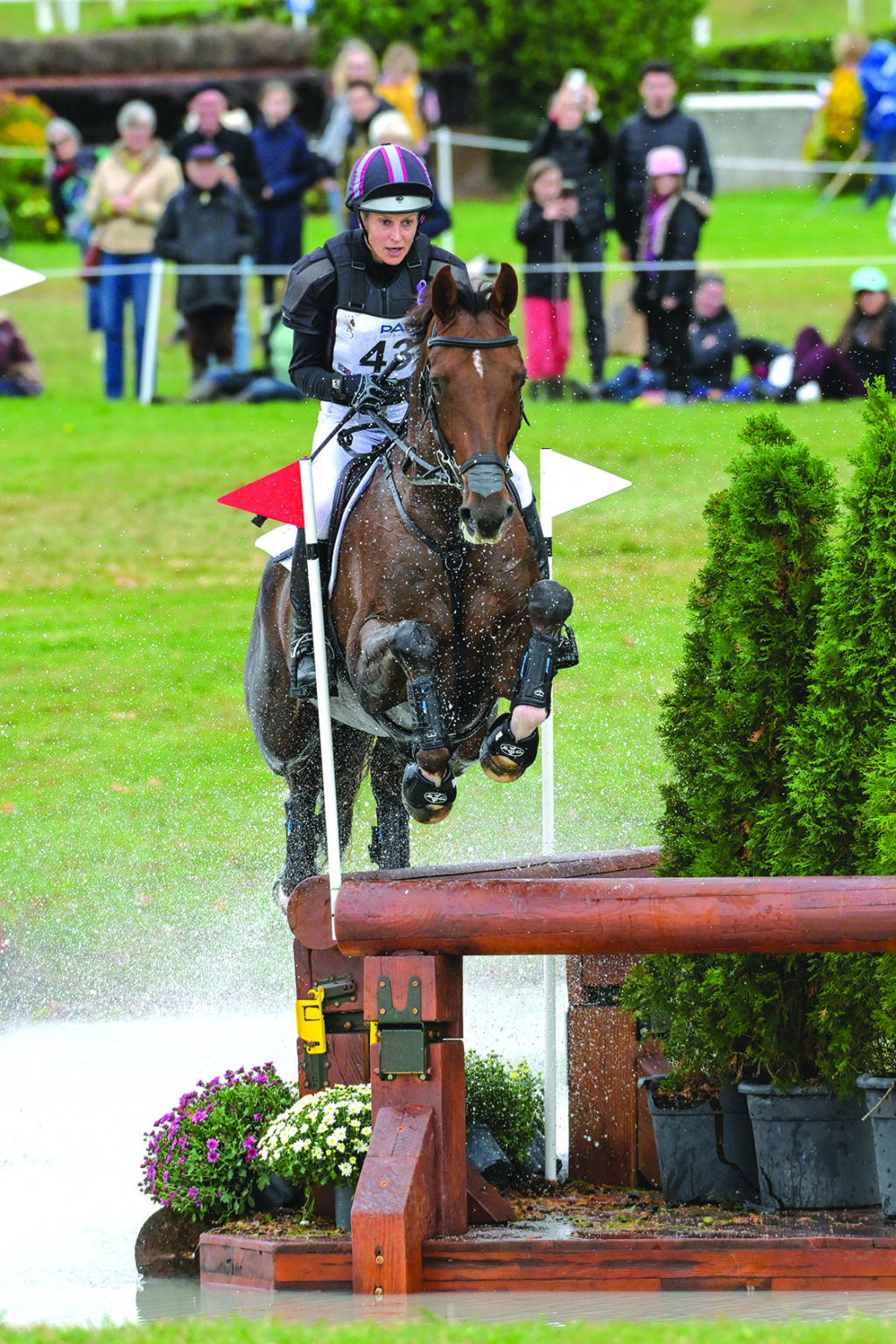 Meet Corimiro, the rising star of eventing ridden by Sarah Bullimore
