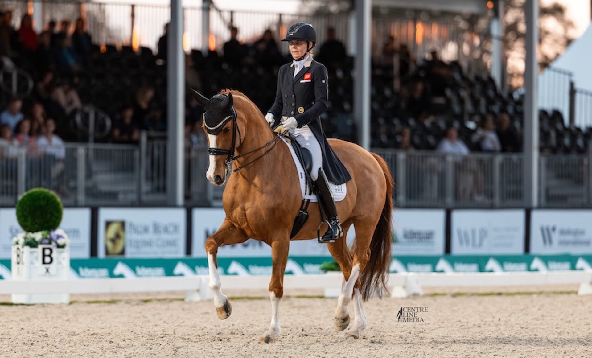 Susan Pape, 63, wins with horse she thought might never return from injury