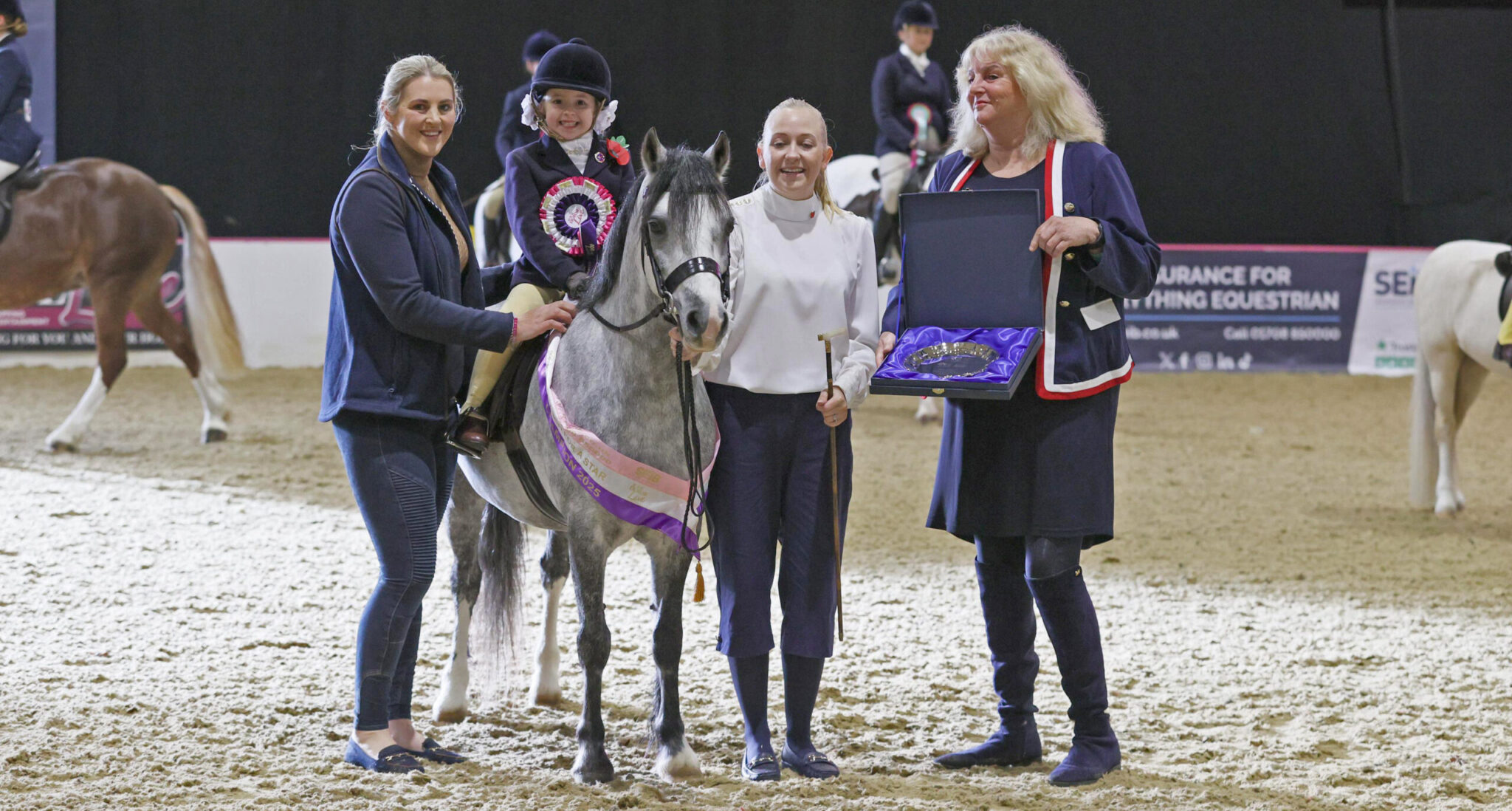 Amateur showing classes for riders during the 2026 season