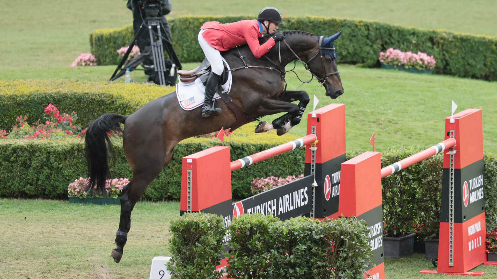 Showjumping: Horse & Hound's home for showjumping fans