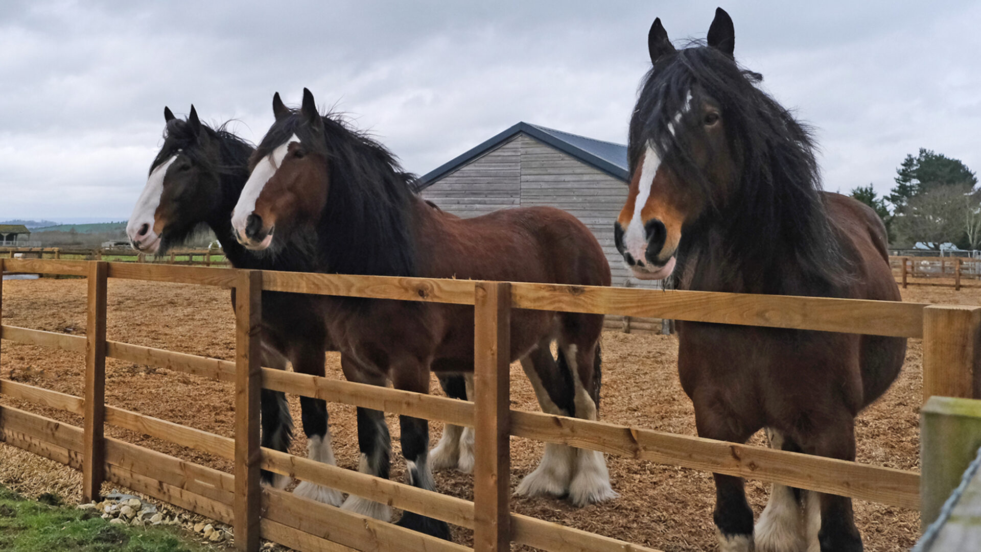 Two Redwings visitor centres close on an ‘incredibly sad day’