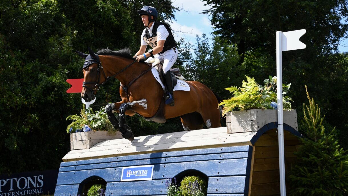 Competitions for ex-racehorses to aim for in a range of disciplines