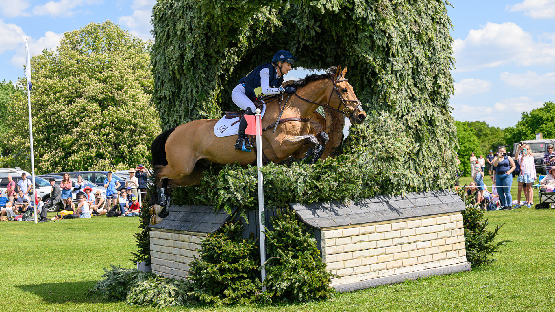Joy and teads as Rehy DJ moves to new young rider