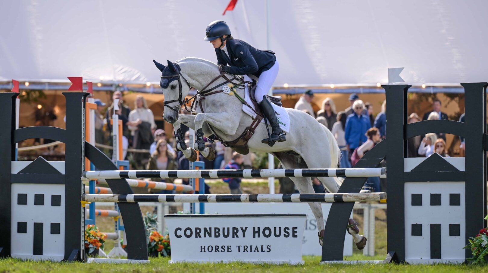 Thoroughbreds are just as good as other breeds in five-star eventing ...