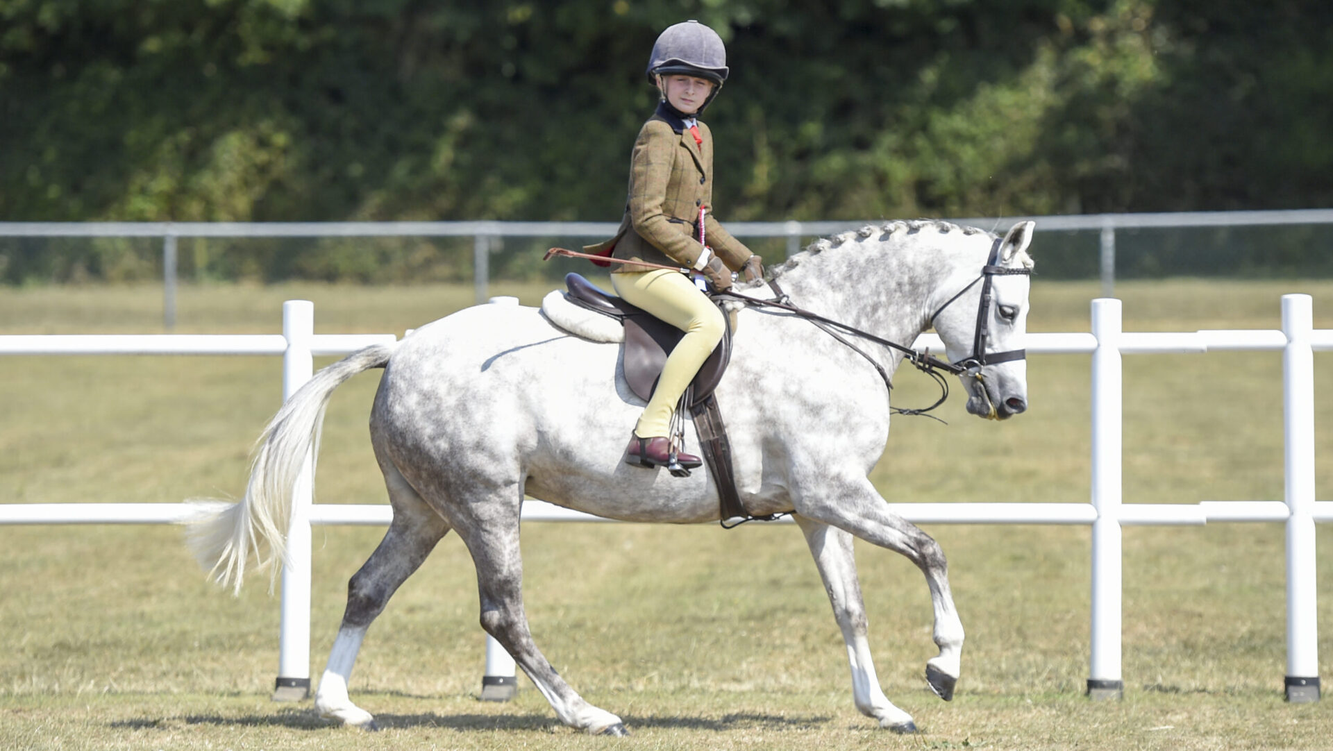 Competitor’s guide and introduction to working hunter pony classes