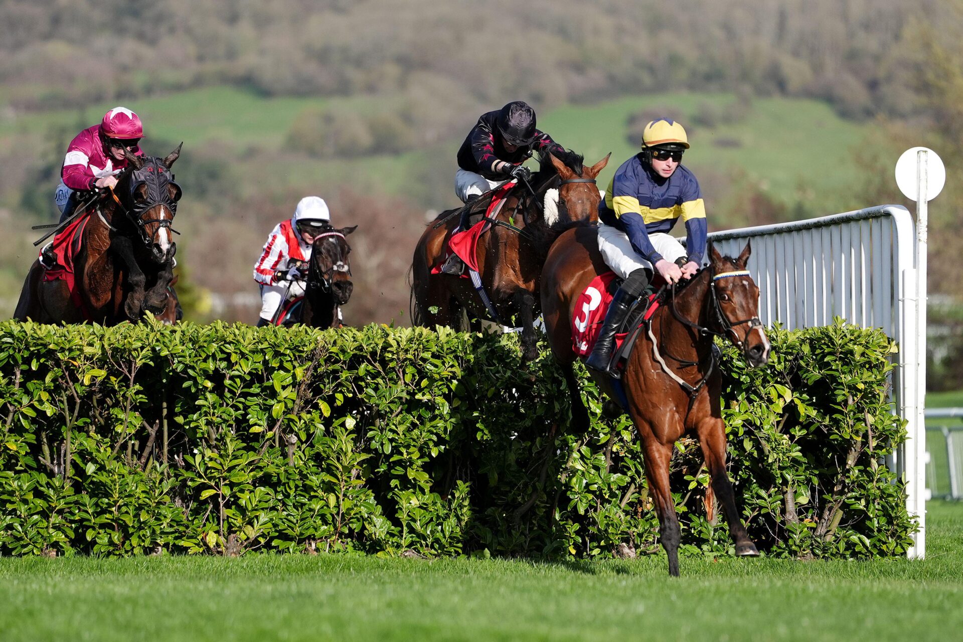 Cheltenham day 2 - Champion Chase winner and other results
