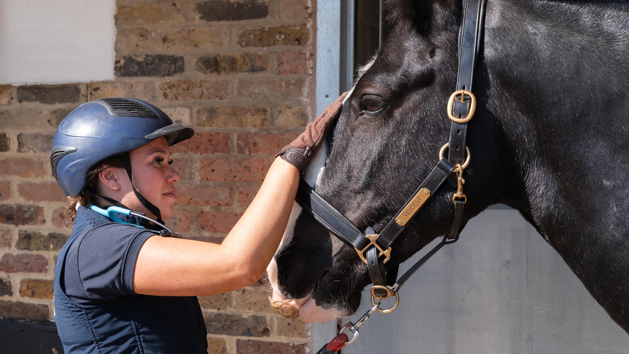 Revised BEVA euthanasia guidance for insured horses