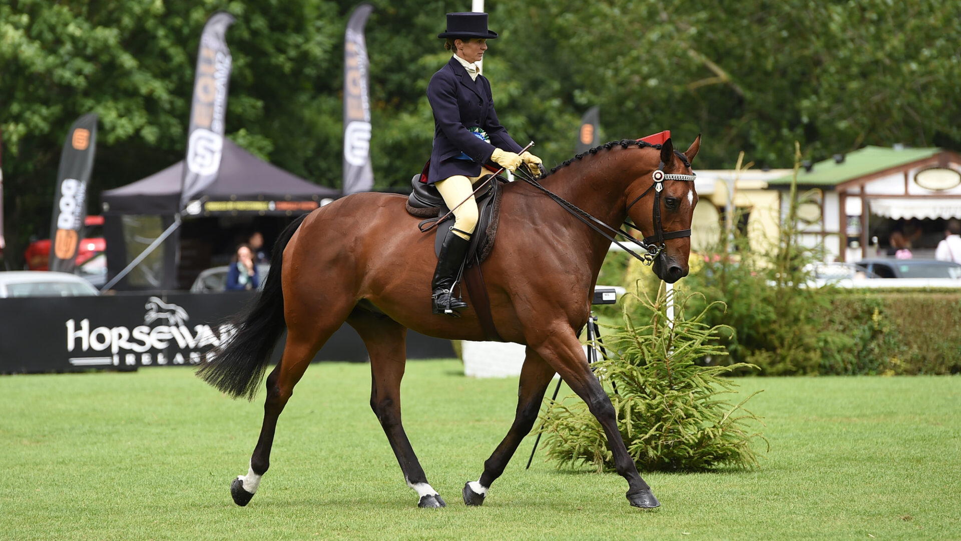 Competitions for ex-racehorses to aim for in a range of disciplines