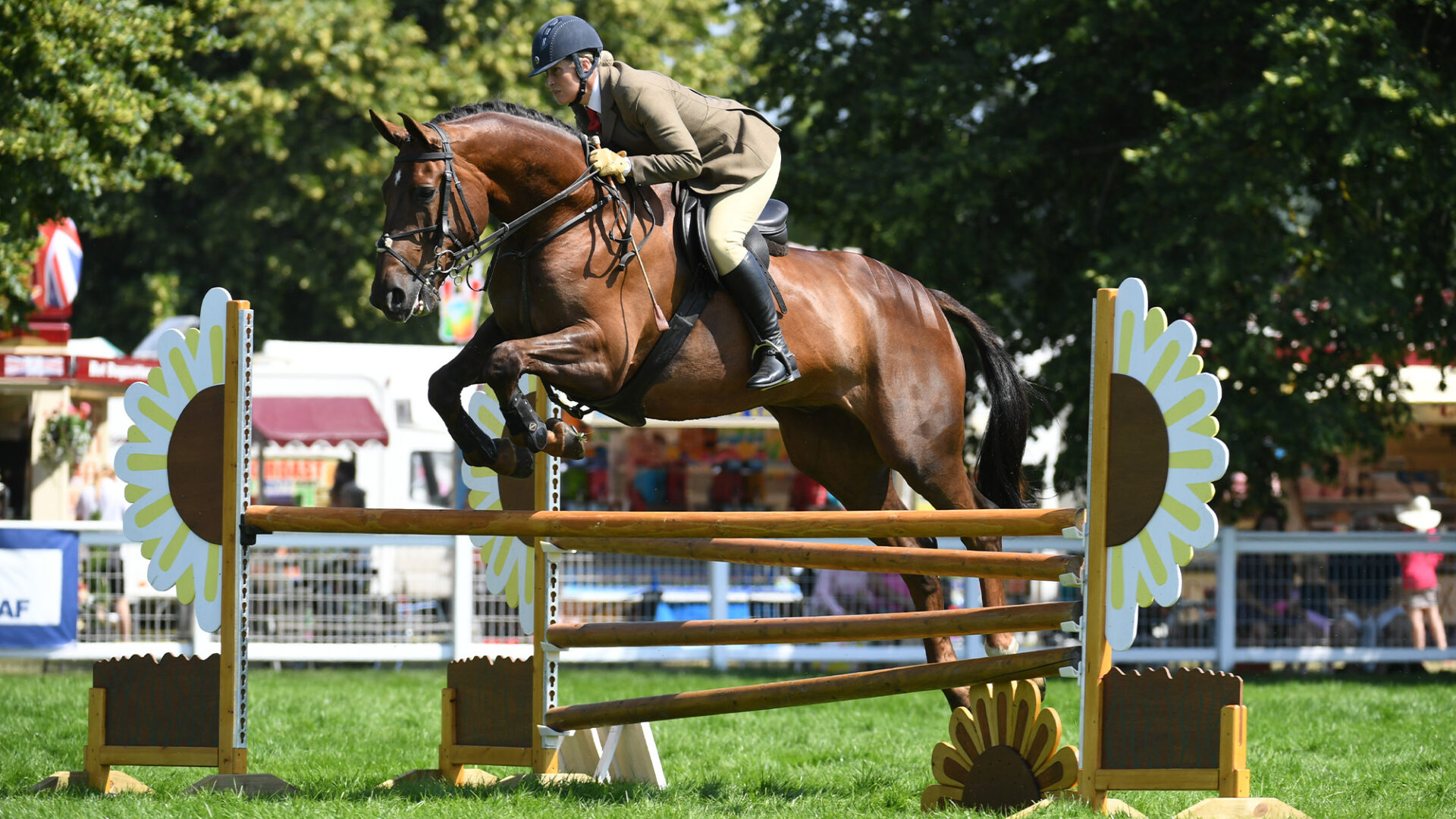 Show hunter classes: Horse & Hound’s expert showing guide