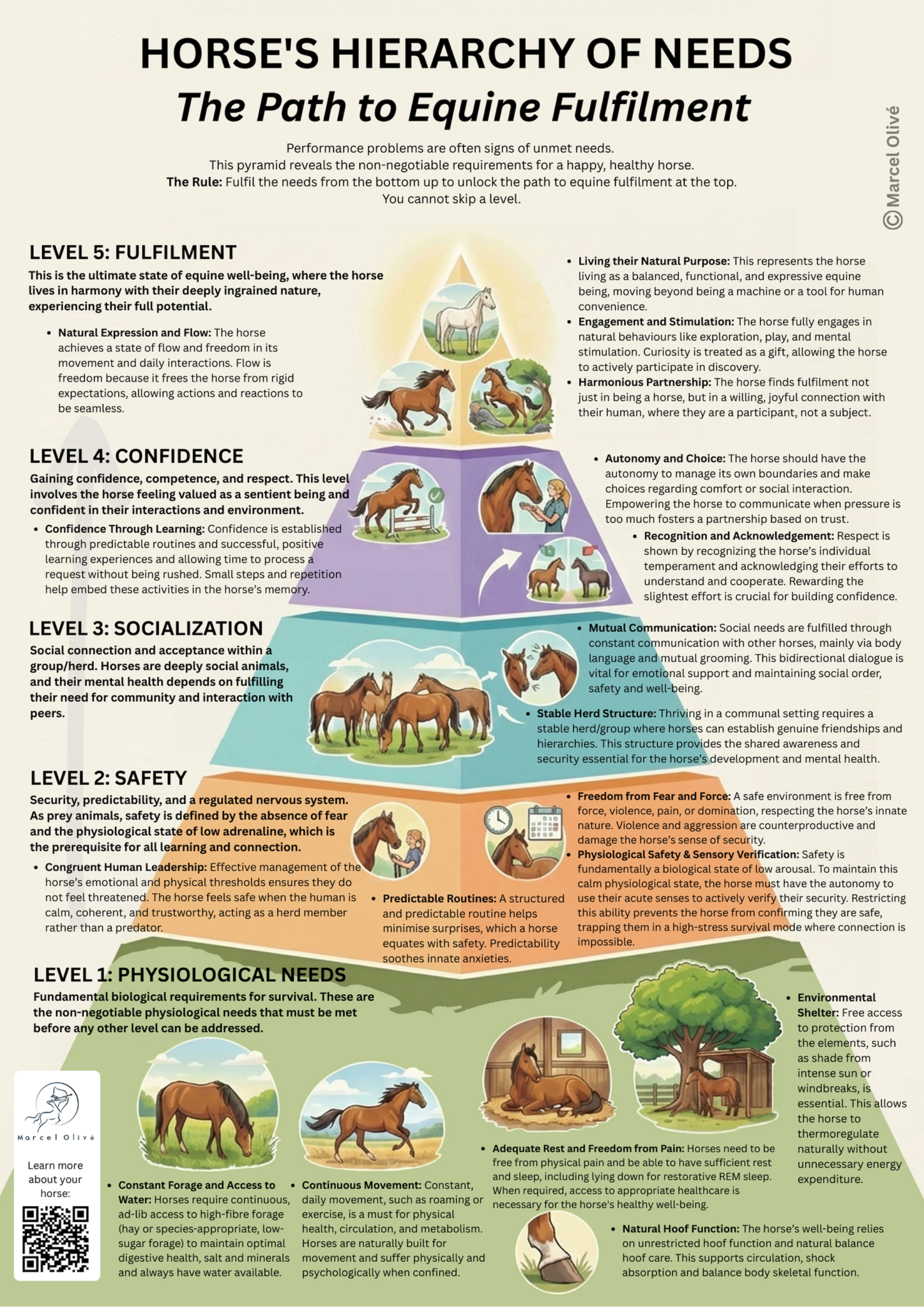 Horse hierarchy of needs aims to help ethical training