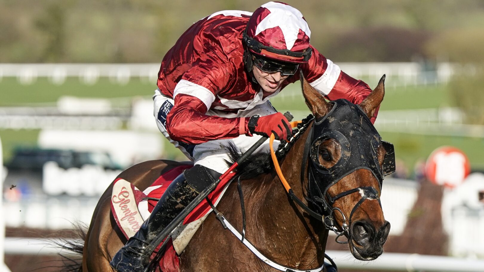 Tiger Roll, the dual Grand National winner with a huge personality