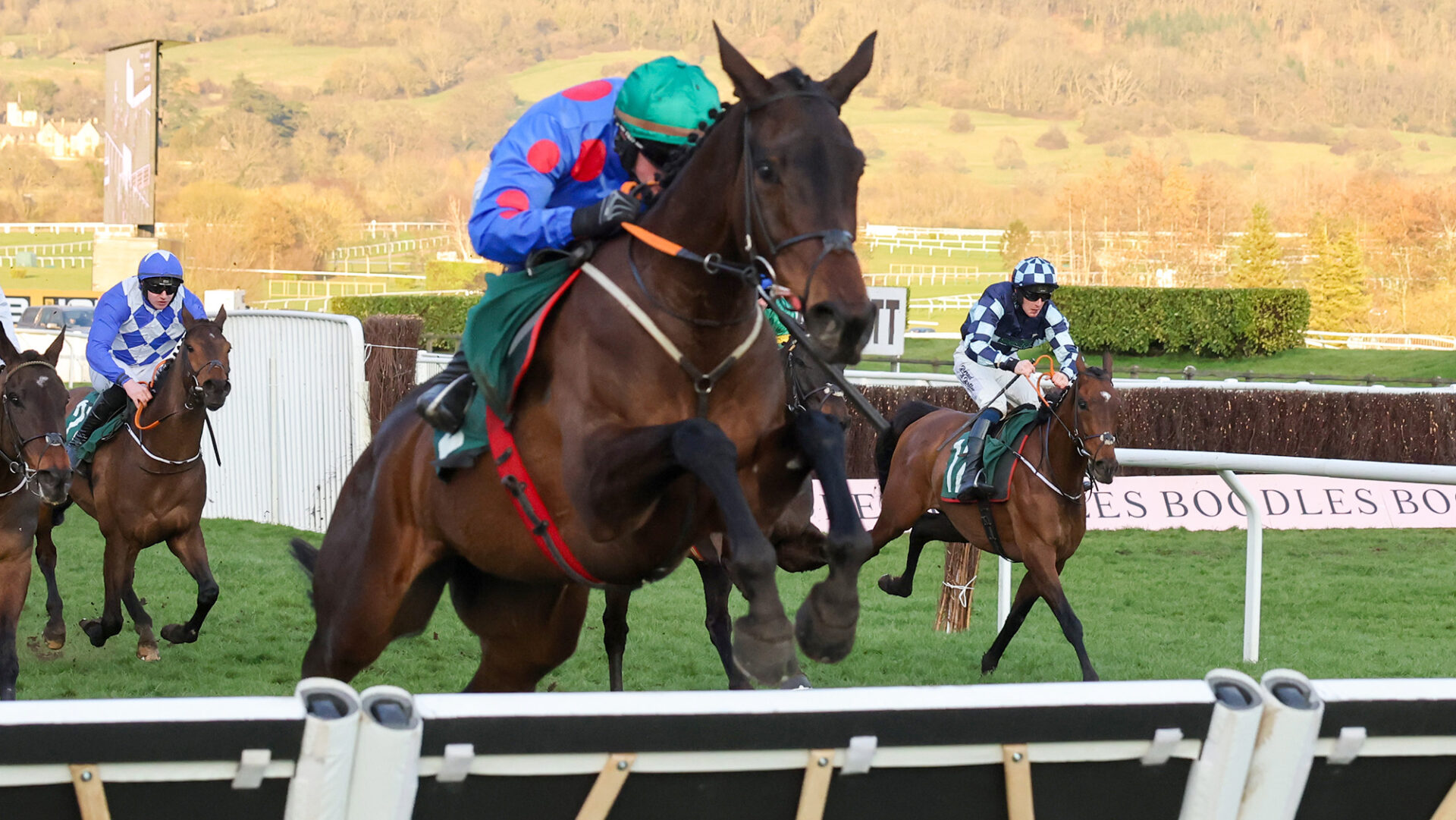 Cheltenham day 2 - Champion Chase winner and other results