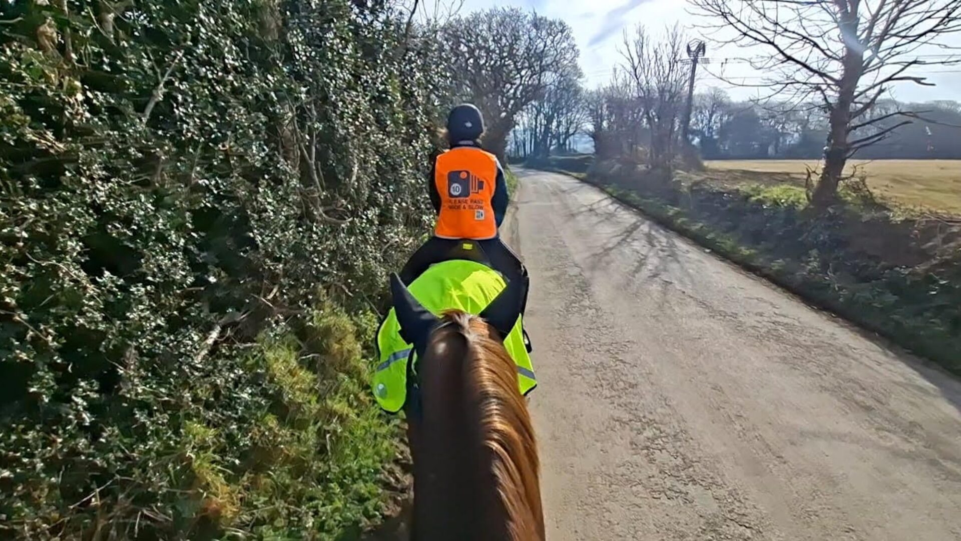 Rider’s HGV training leads to video to keep horses safer
