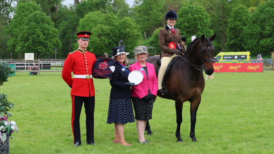 Morning Sunflower wins 2026 Windsor show hunter pony championship