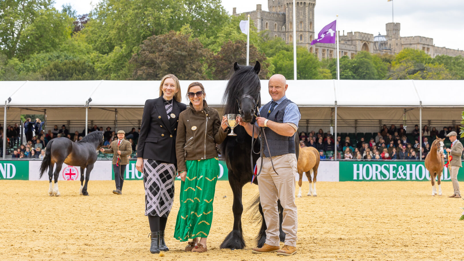 Pretty Polly M&M champion title for Welsh section C stallion