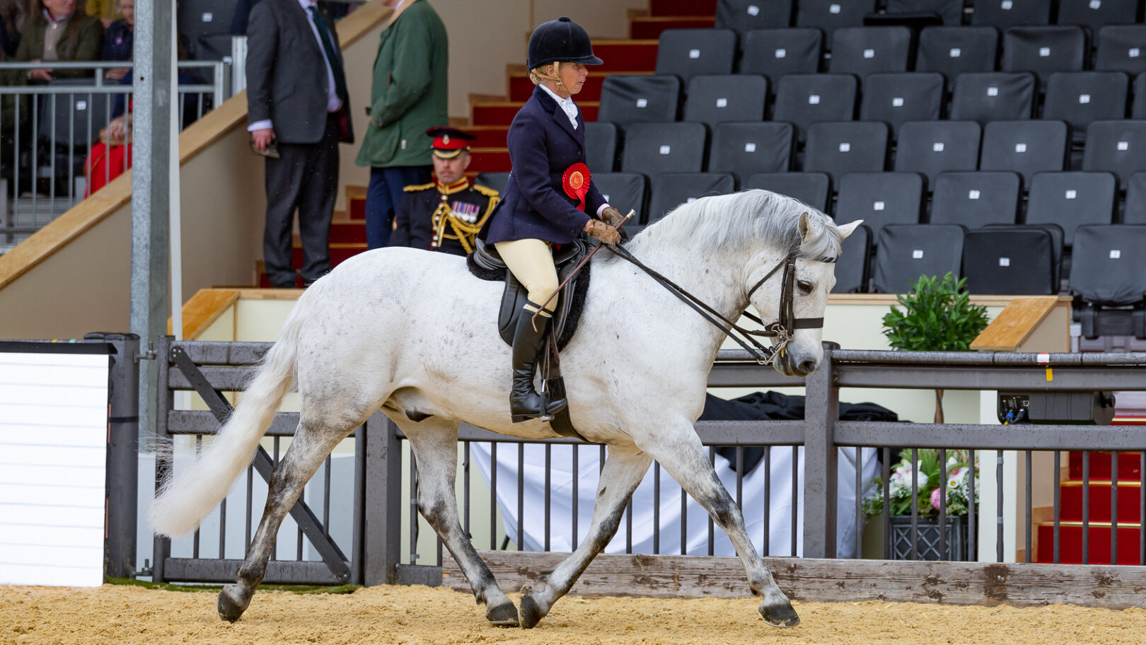 Pretty Polly M&M champion title for Welsh section C stallion