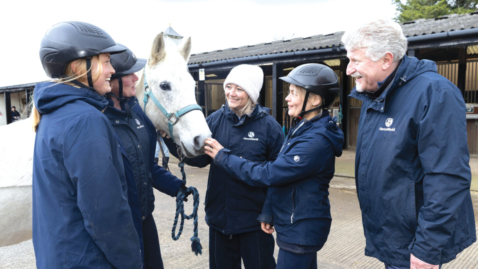Equine charity speaks out on Government schools SEND consultation