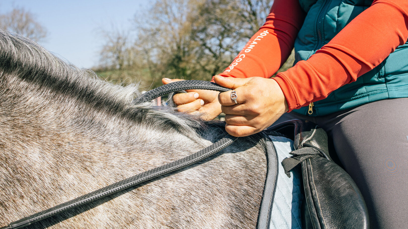 Best reins for horse riding in a range of styles | Horse & Hound