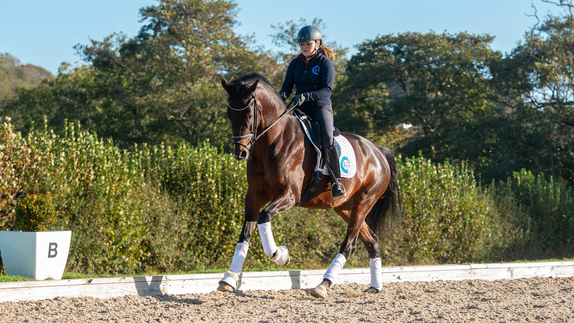 Exercise to improve canter quality, balance and rhythm using poles