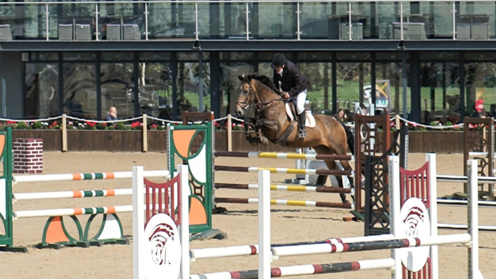 Meet the 80-year-old rider aiming for HOYS with his 20-year-old superstar