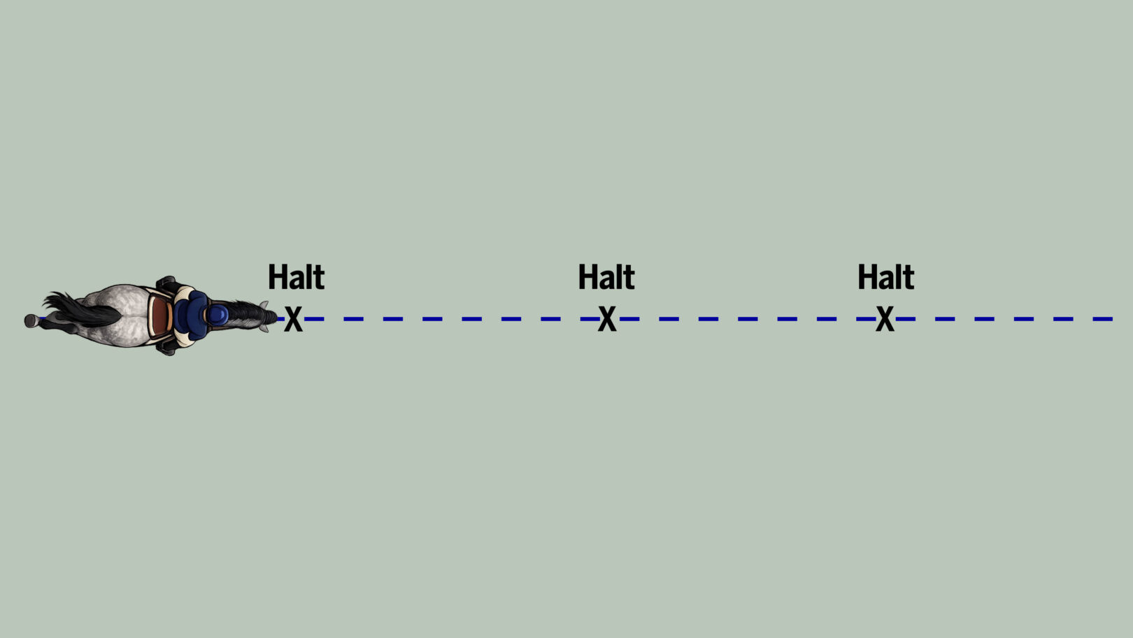Halting exercise to improve responsiveness and transitions