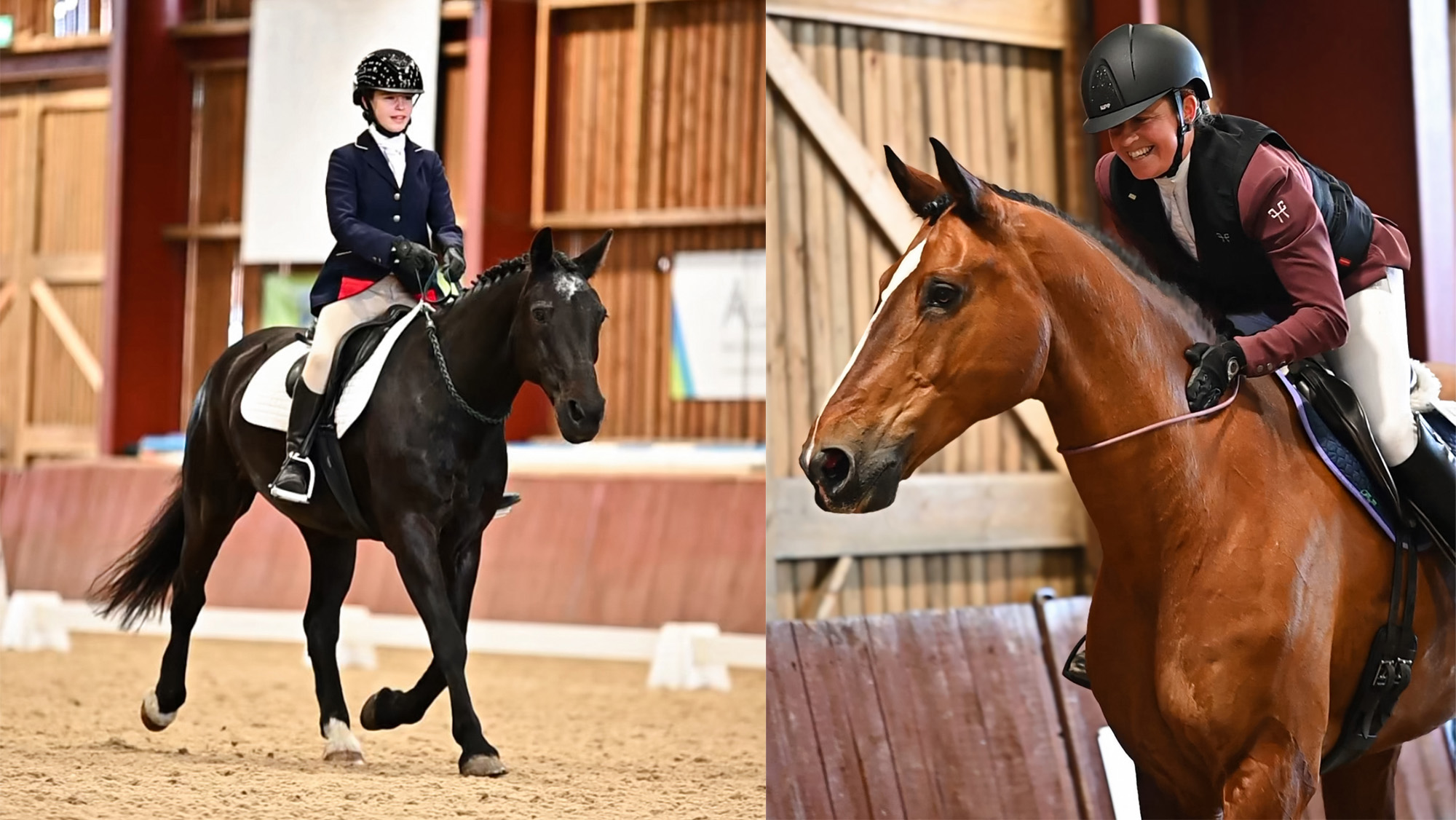 How to start riding bridleless by building the ultimate connection