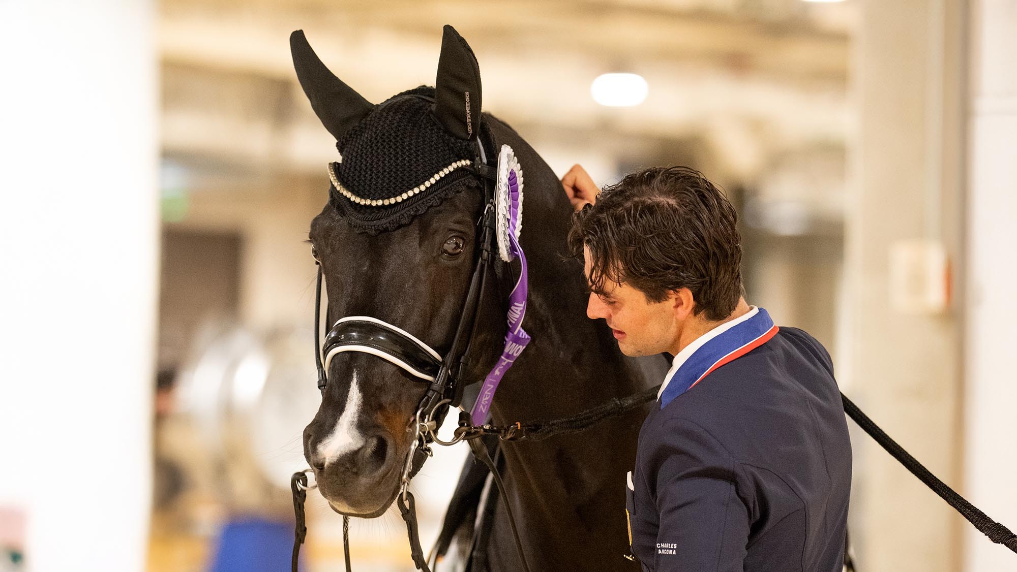 Olympic dressage horse Indian Rock withdrawn from worlds selection race
