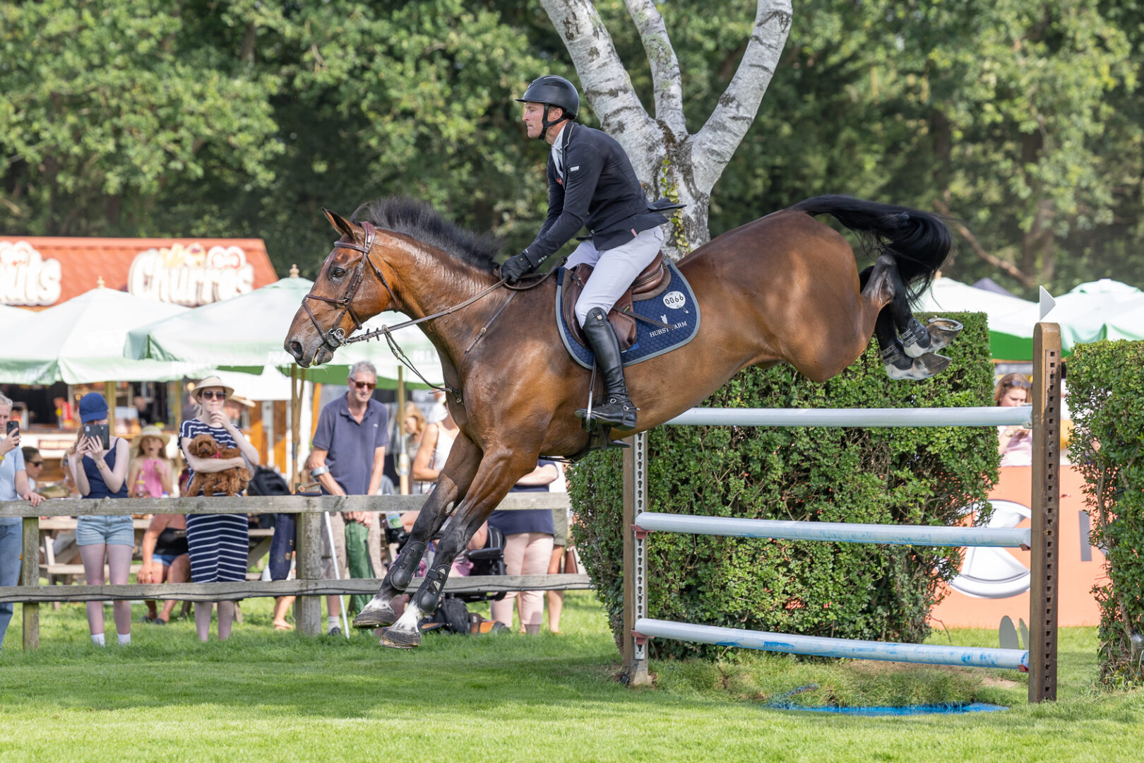 Meet Flamboyant III, Hickstead Derby winner for William Whitaker