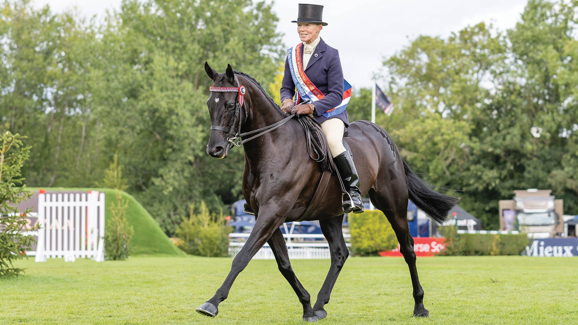 Boston Black Tie breeding information and parentage