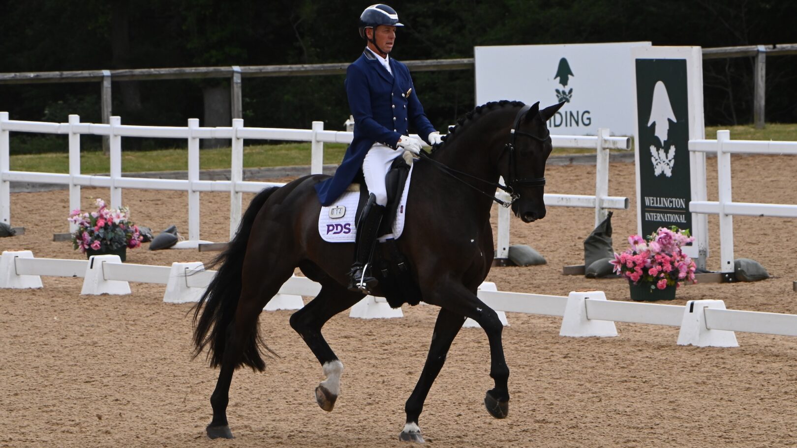 Carl Hester on his new ride Monet X after their grand prix debut
