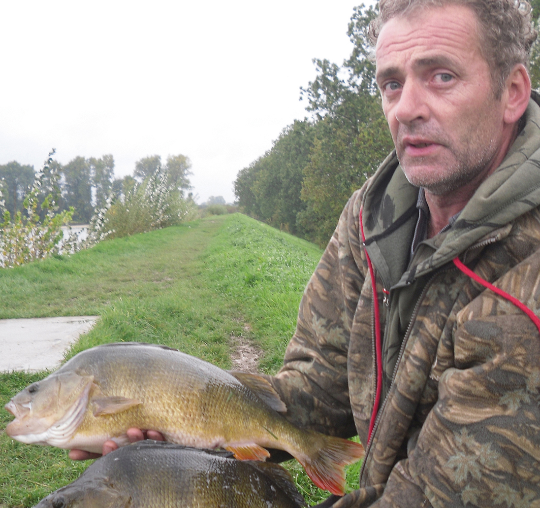 Biggest perch brace ever - Angler's Mail