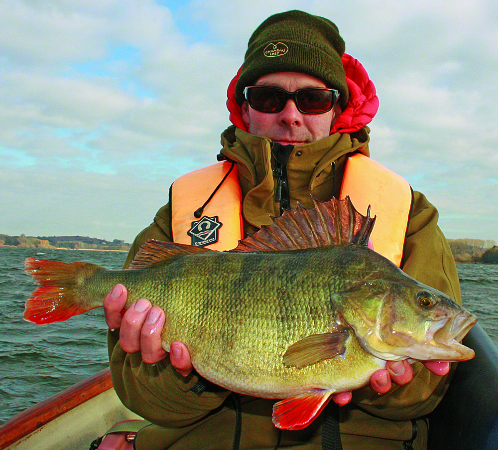Record perch next for monster pike mecca? - Angler's Mail